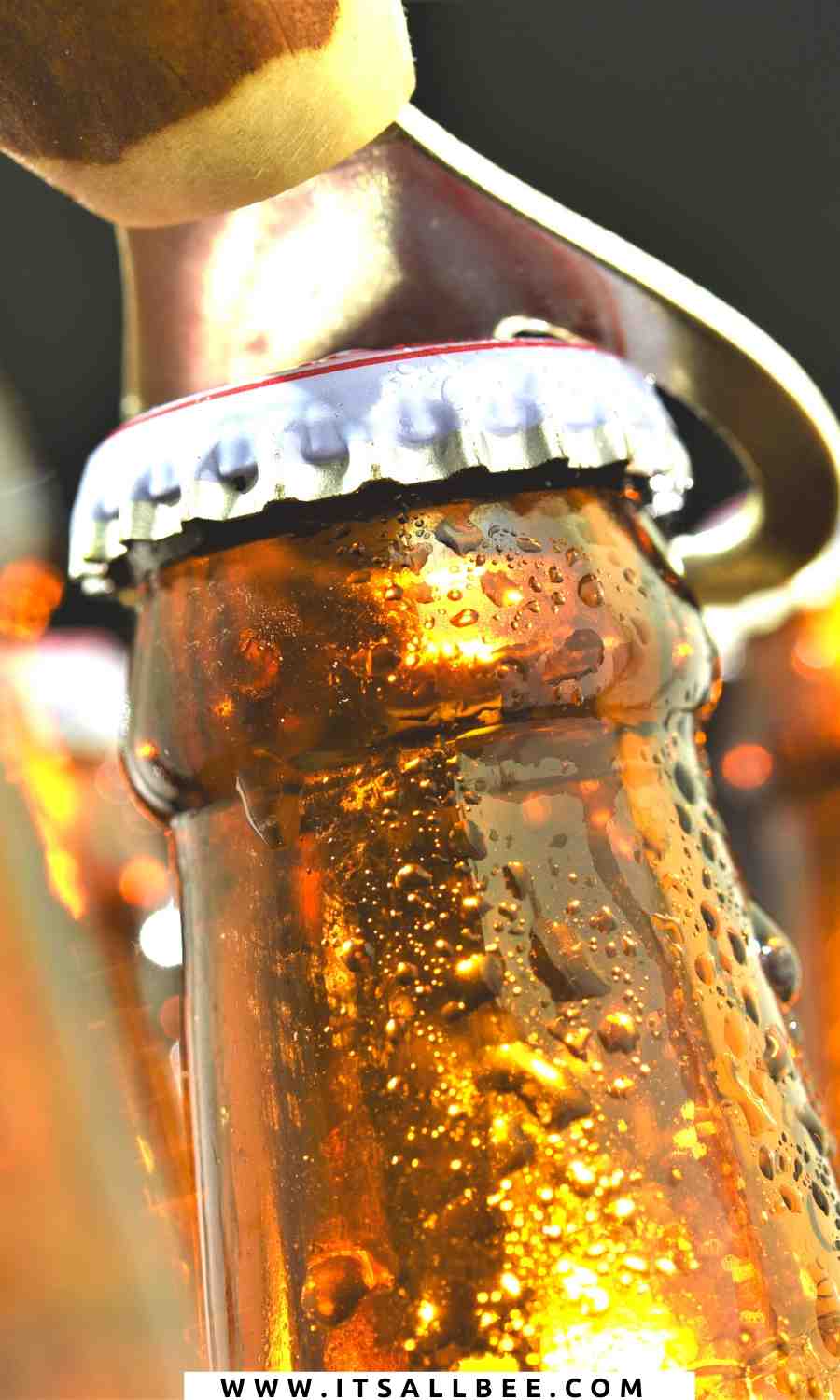 Do It For The Culture! Norwegian Beers You Need To Check Out ...